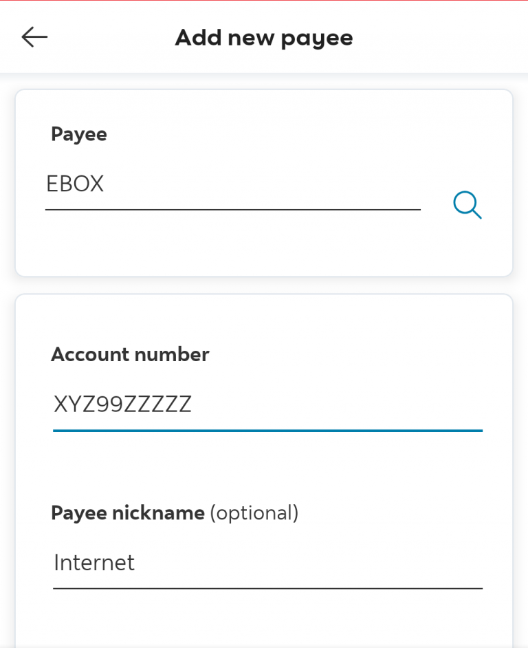 How can I make a payment? | EBOX